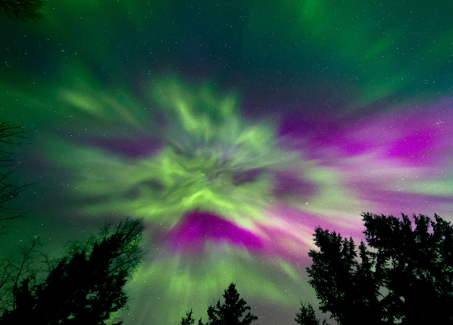 Kingfisher Pacific Resort & Spa | Healing Caves™